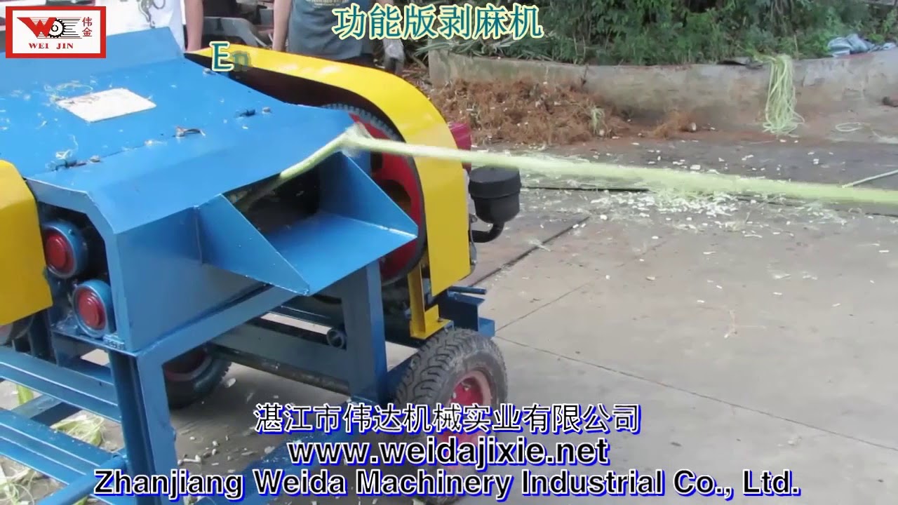 Ramie Fiber Decortication Processing Machinery to peeling the Ramee ...