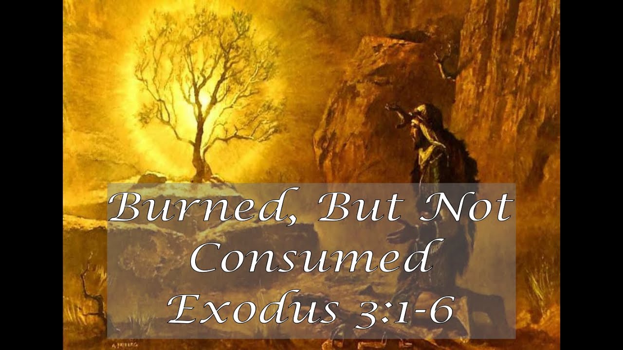 Burned, But Not Consumed - Youth Sunday - YouTube