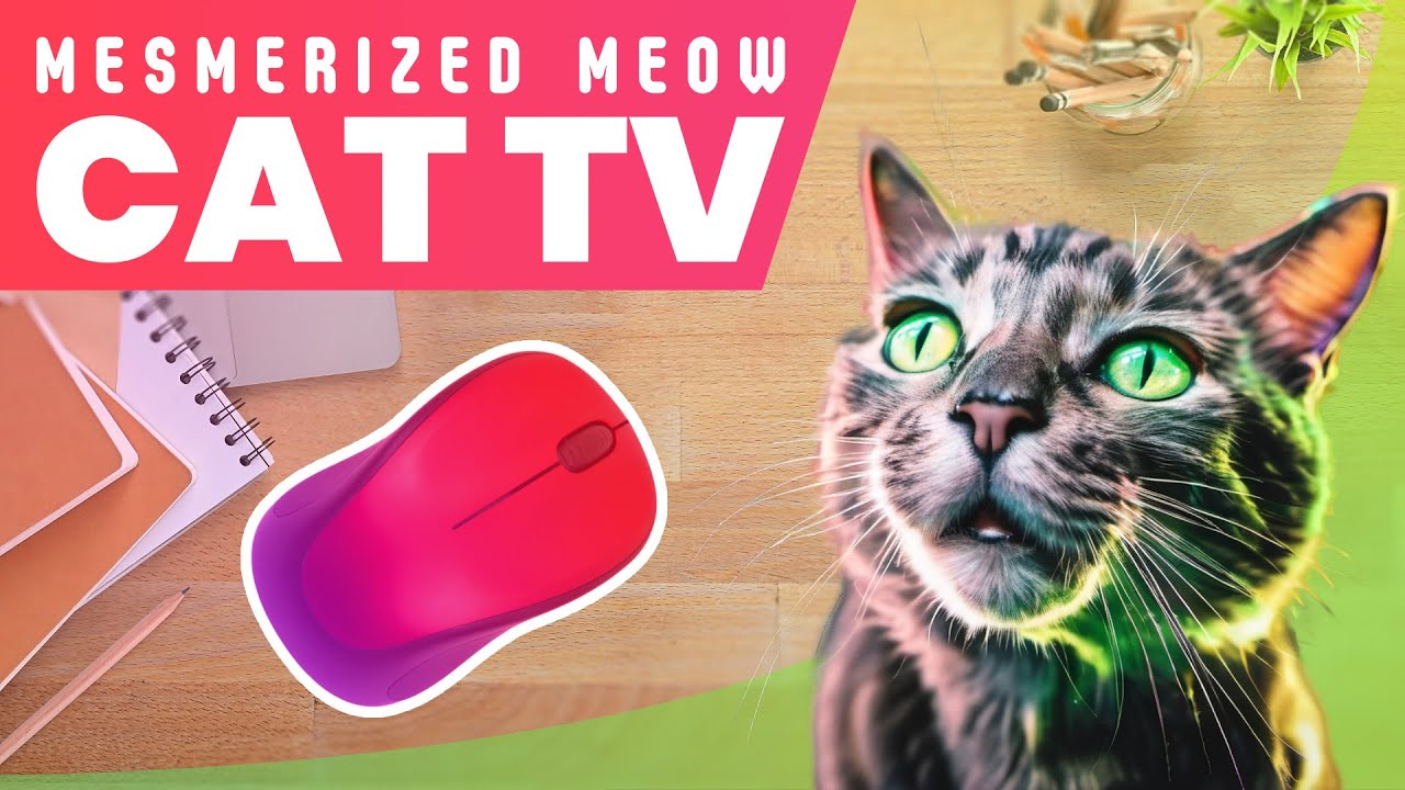 CAT TV - COMPUTER MICE RUNNING ACROSS A DESK 🖱️🐭 (GAME FOR CATS TO ...