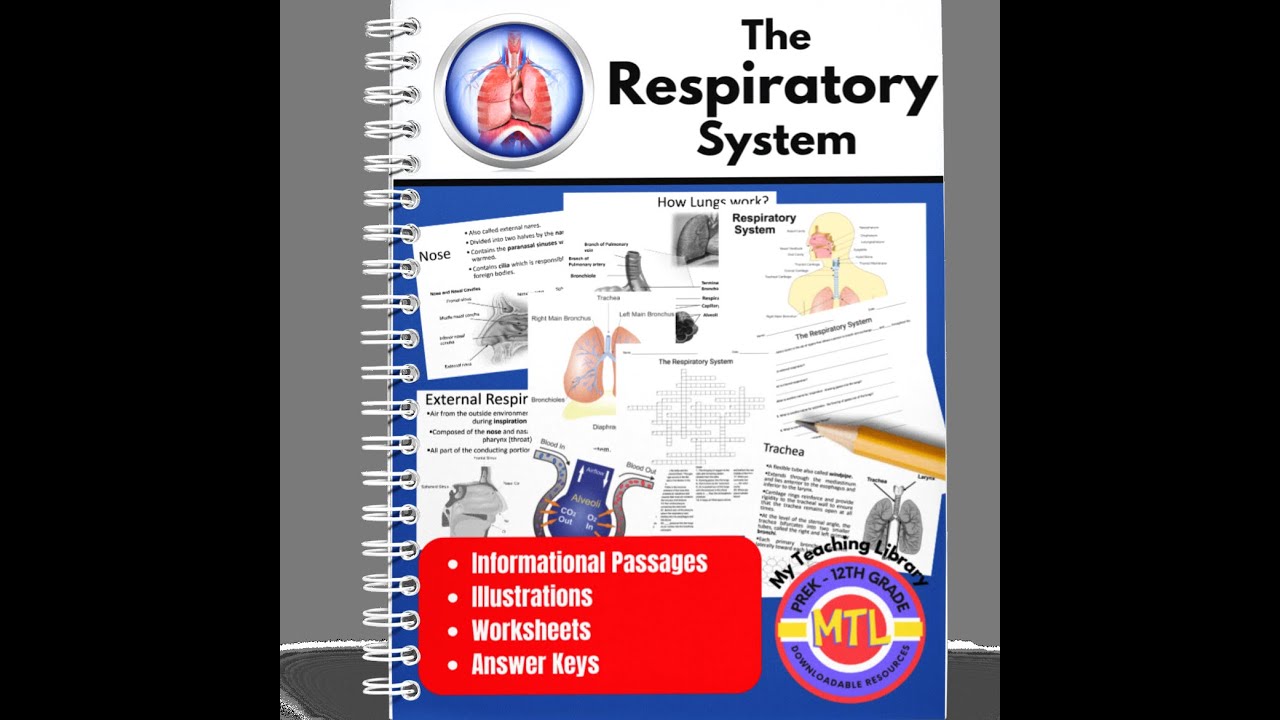 Respiratory System Unit! Preview Video - YouTube