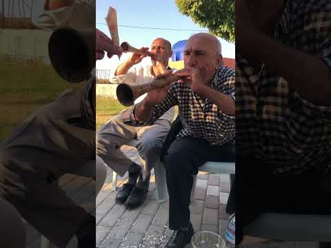 Akasyalar Açarken
