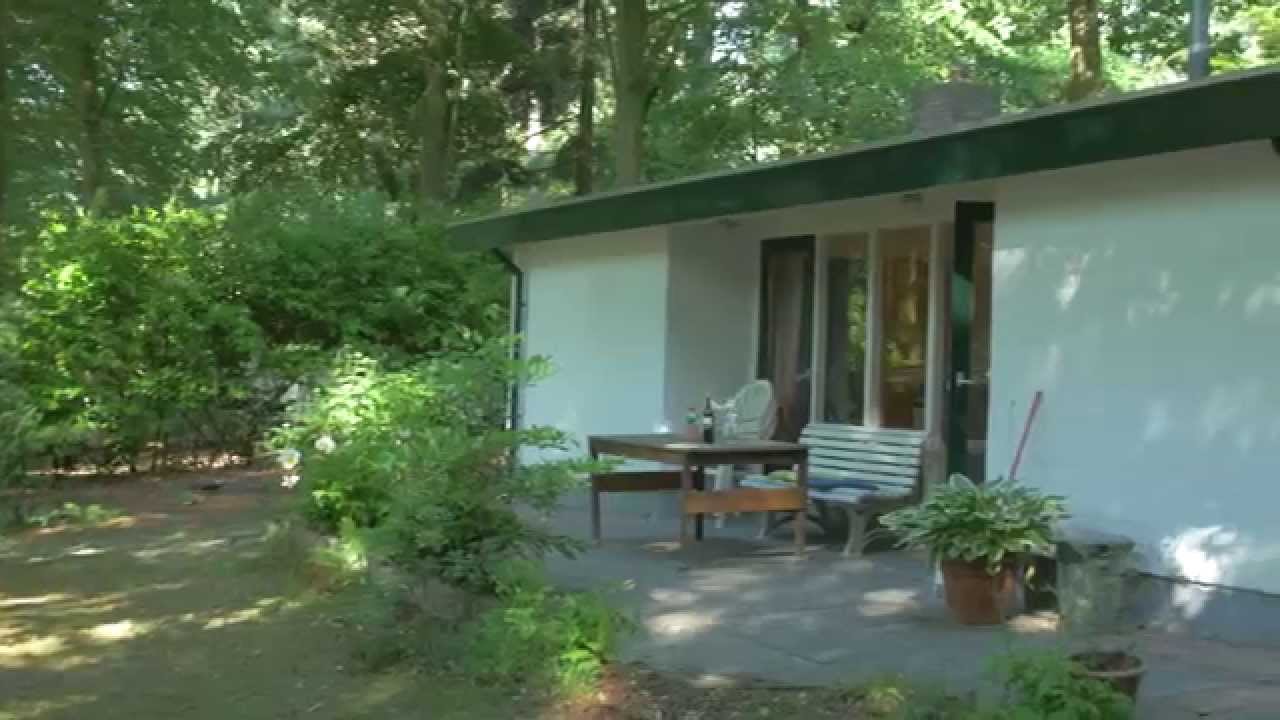 Vakantiehuis in het bos van Gaasterland - YouTube