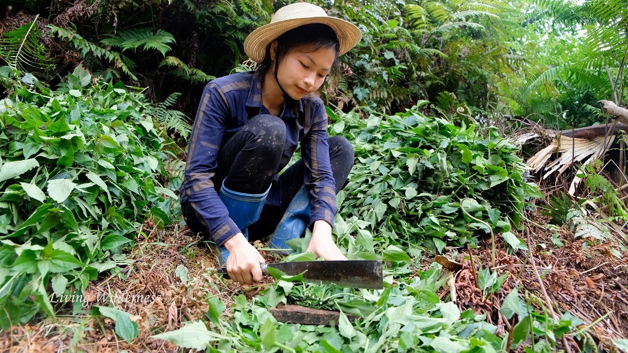 Building Terraces to Farm on a Hillside | Farm Life, Living Wilderness ...