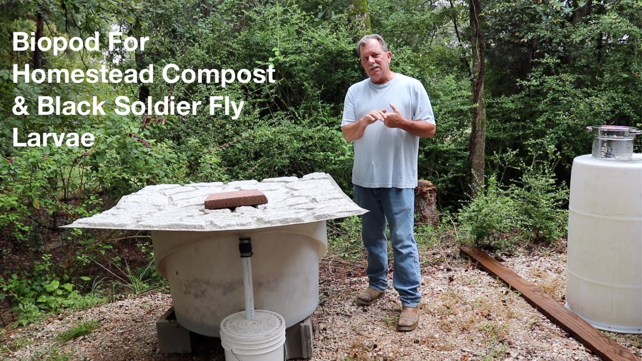 Biopod For Homestead Compost & Black Soldier Fly Larvae - YouTube