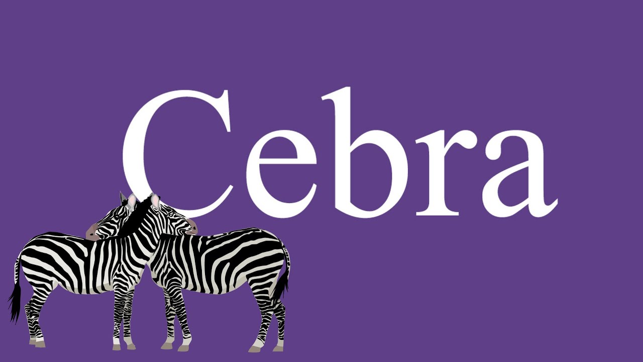 How To Pronounce ''Cebra'' (Zebra) Correctly in Spanish - YouTube