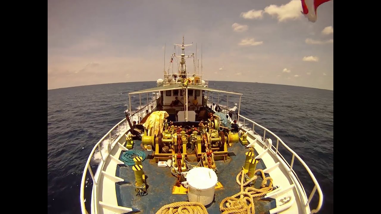 Tubbataha Reef - Trip and Ship Review - Expedition Fleet - Oceanic ...