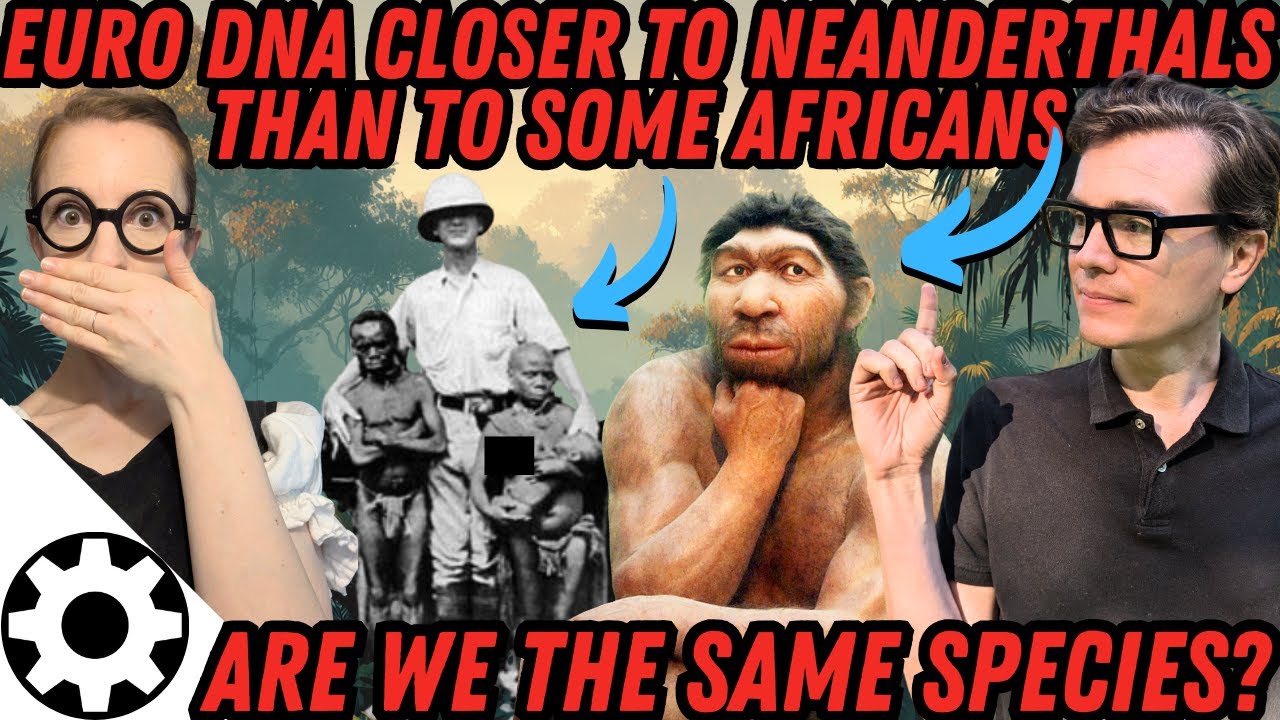 Are Humans A Single Species? (What If We Categorized Humans Like Other ...