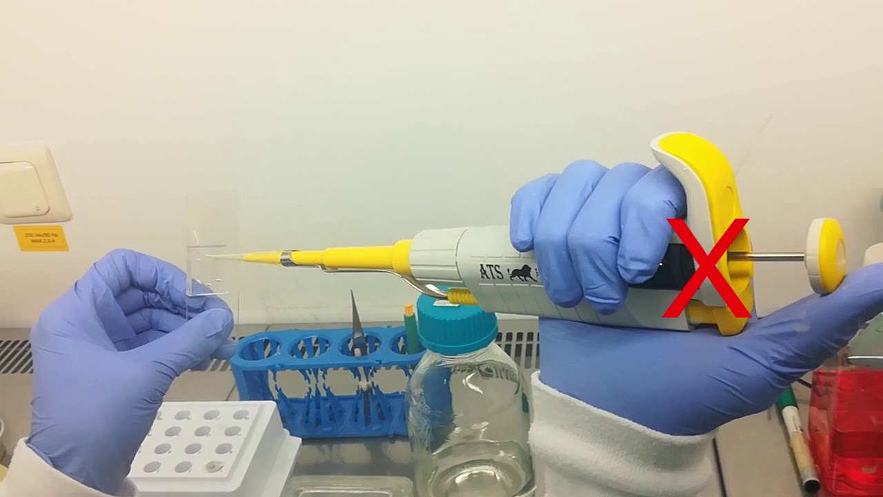 INITIO IC-CHIP VISUAL PROTOCOL - YouTube