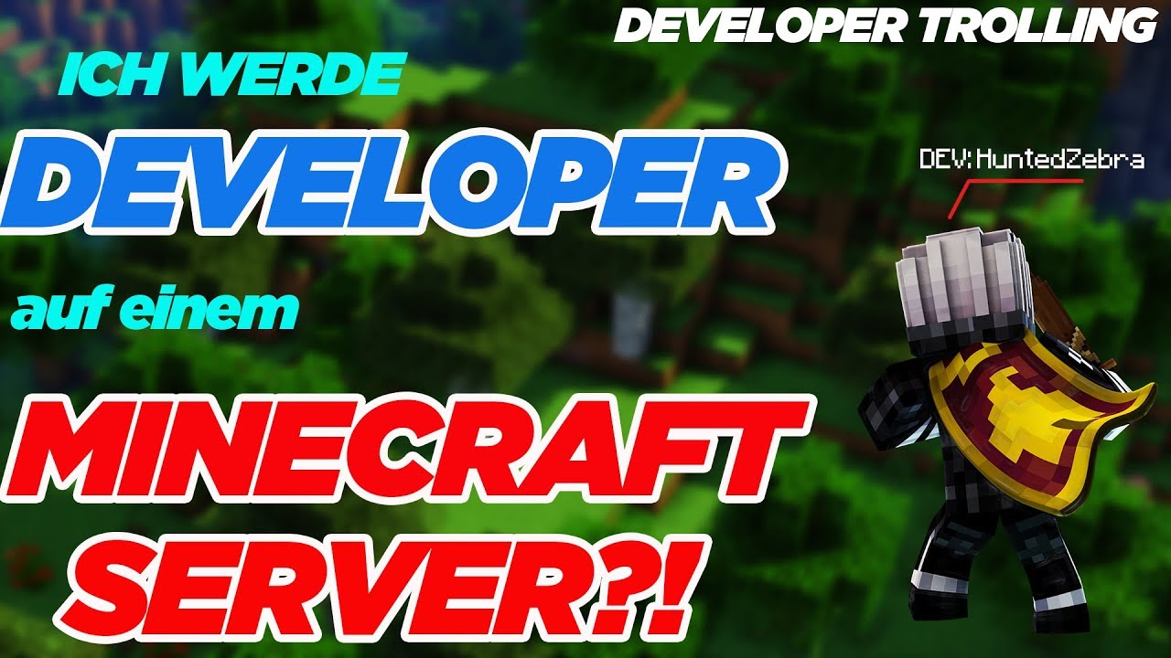 ICH WERDE DEVELOPER AUF EINEM MINECRAFT SERVER!!!/ Admin Trolling ...