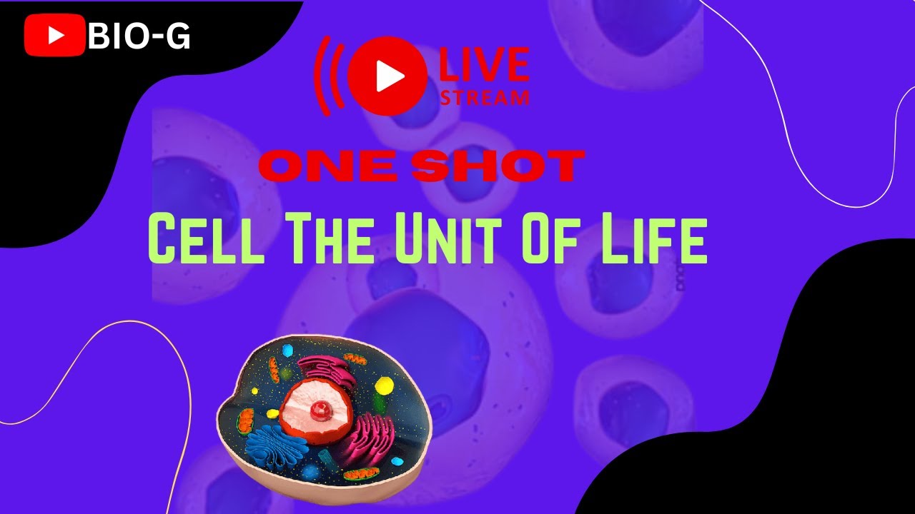 Best Ever Study Of Cell The Unit Of Life With Amazing Explanation - YouTube