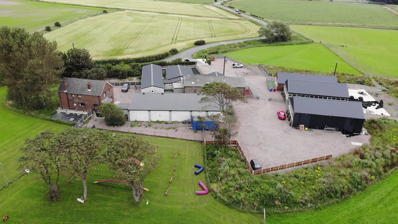 Pawfect Retreat Hightown - YouTube