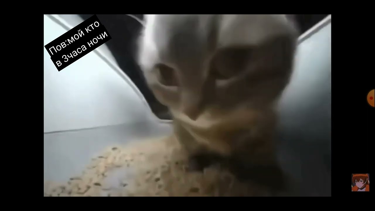 PUPSIK MEME - YouTube