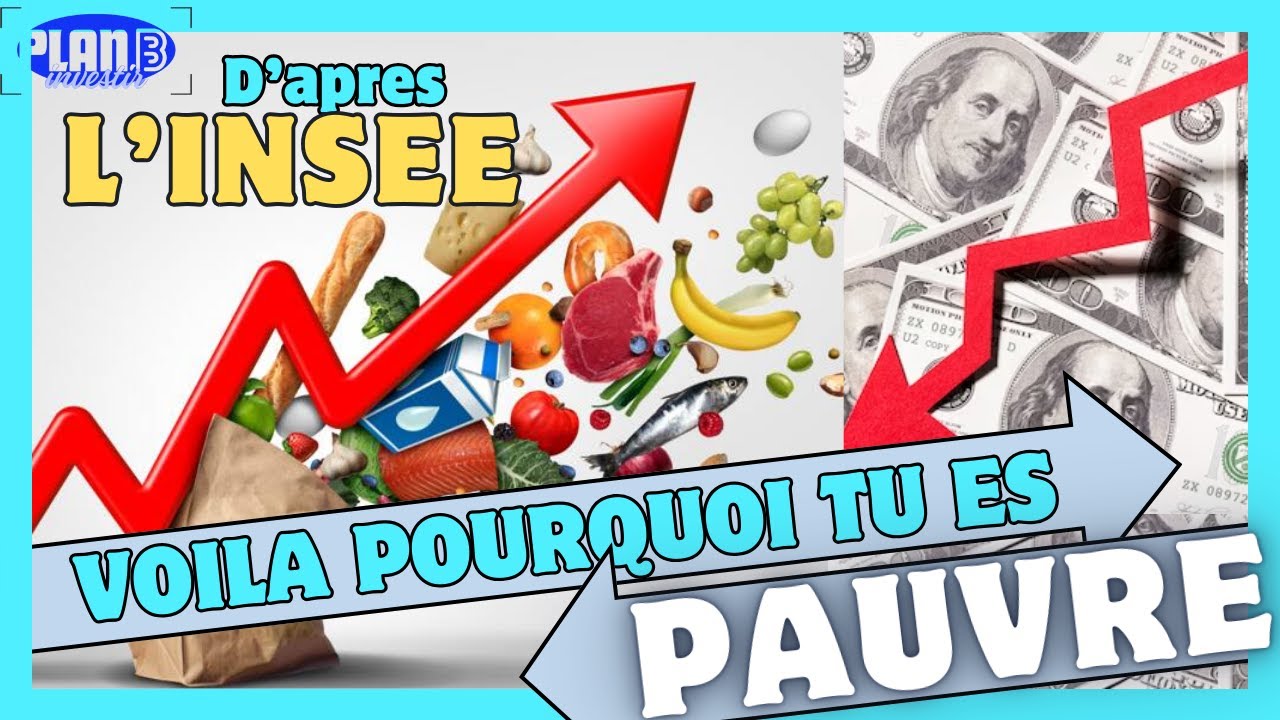 D'après l'INSEE : La vraie différence entre riches et pauvres - YouTube