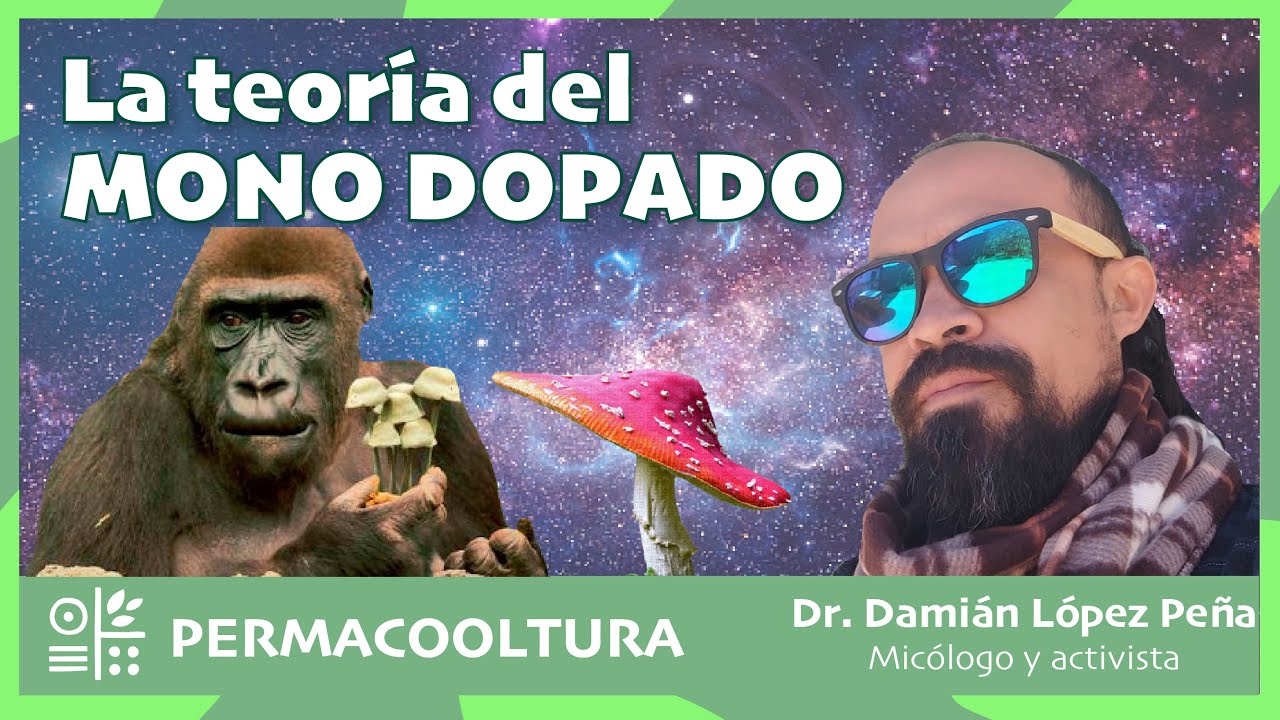 Teoria mono dopado- Dr. Damián López - Hongos medicinales - YouTube