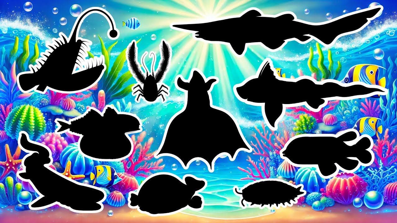 Guess the Deep Sea Creatures Shadow, Shadow Game, Deep Sea Animals ...
