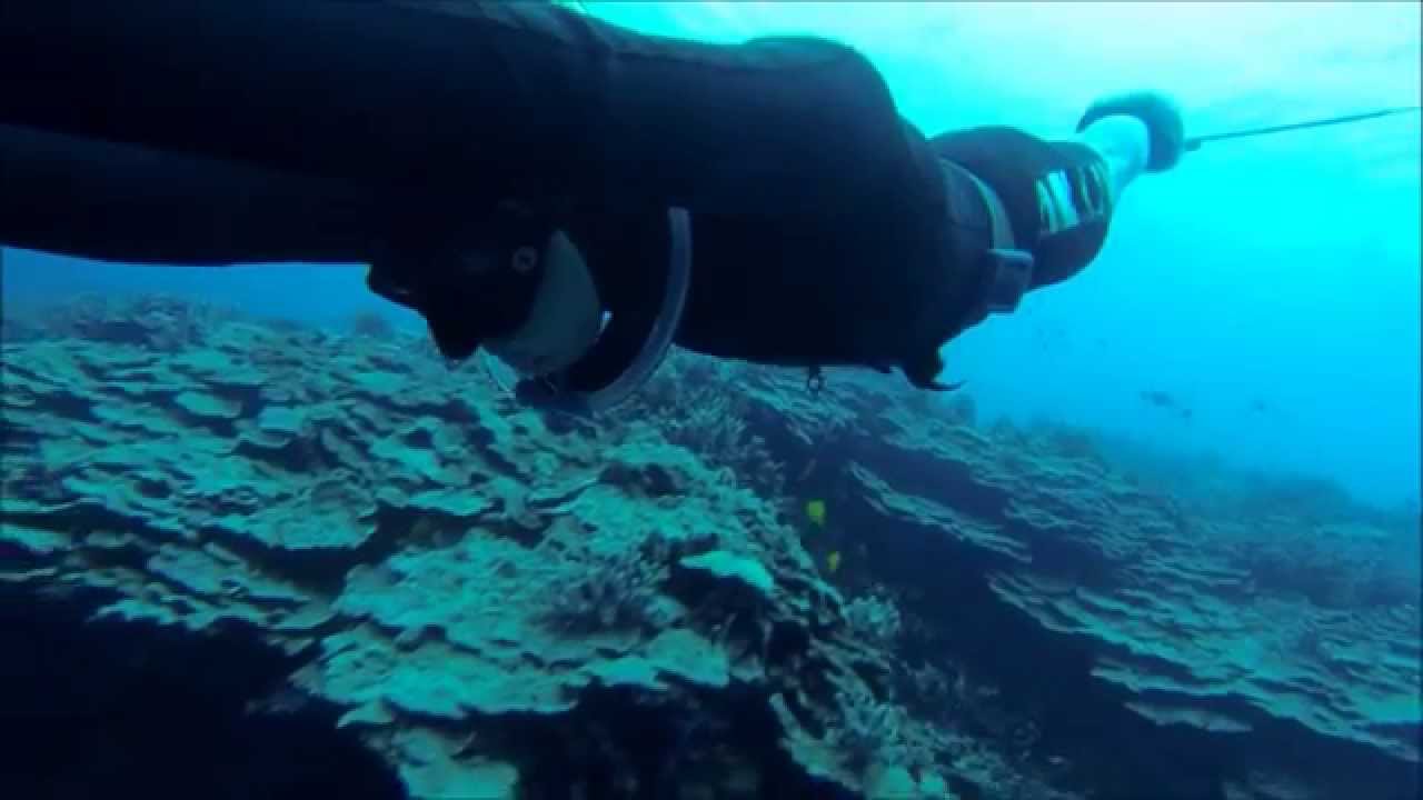 Underwater Proximity Free-Glide (Freefall #3) - YouTube