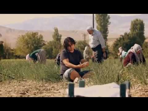 sağ salim# çok komik sahne. video