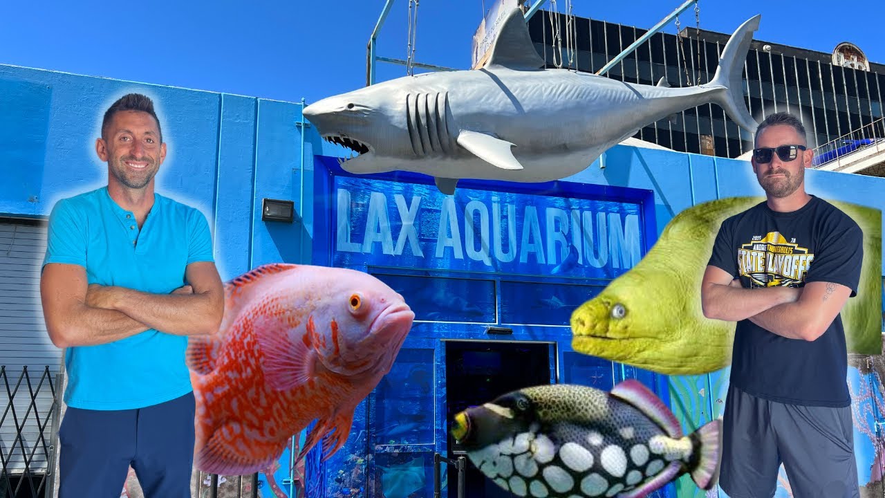 Private Tour of LAX Aquarium: One of the Coolest Fish Store Experiences ...