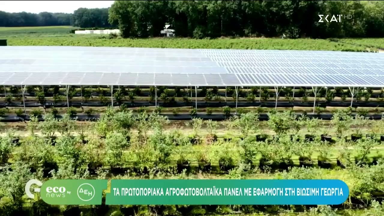 ECO NEWS BY ΔΕΗ | Τα πρωτοποριακά αγροφωτοβολταϊκά πανελ με εφαρμογή ...