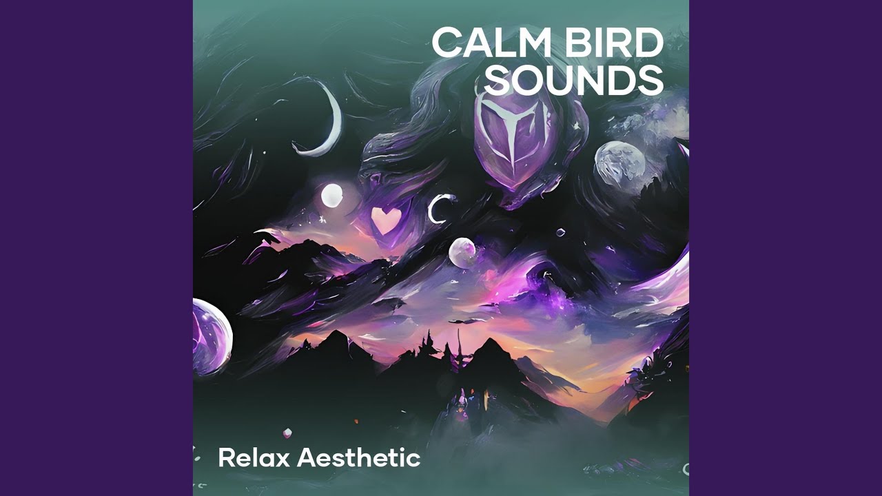 Calm Bird Sounds - YouTube
