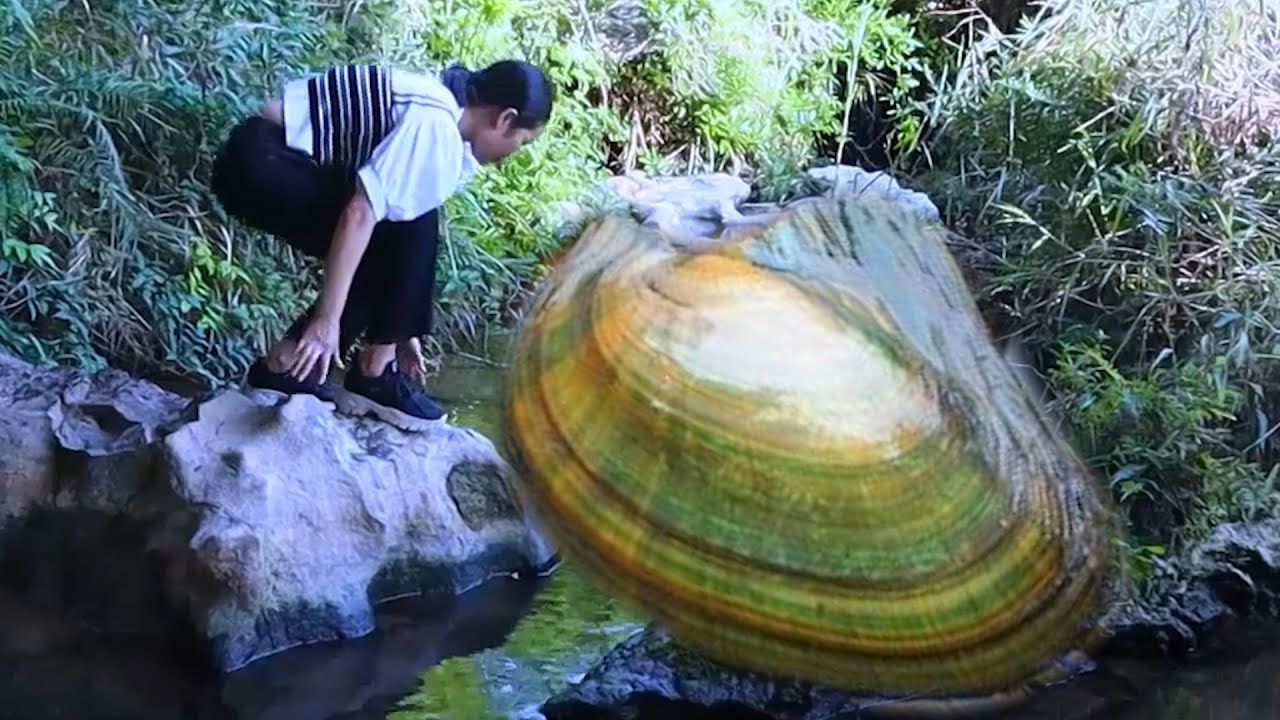 The green clam is in the dense water grass, and the girl has dug up an ...