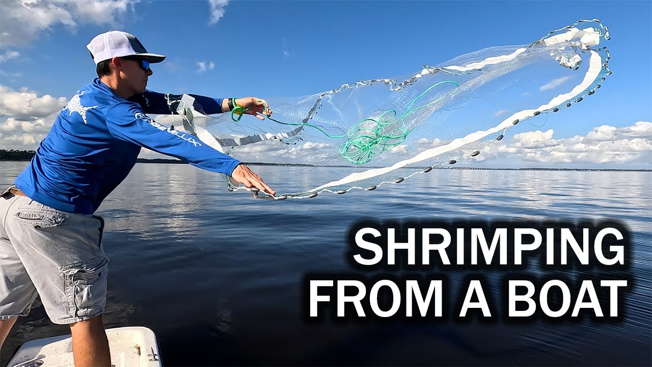 Shrimping in the St. John's River - YouTube