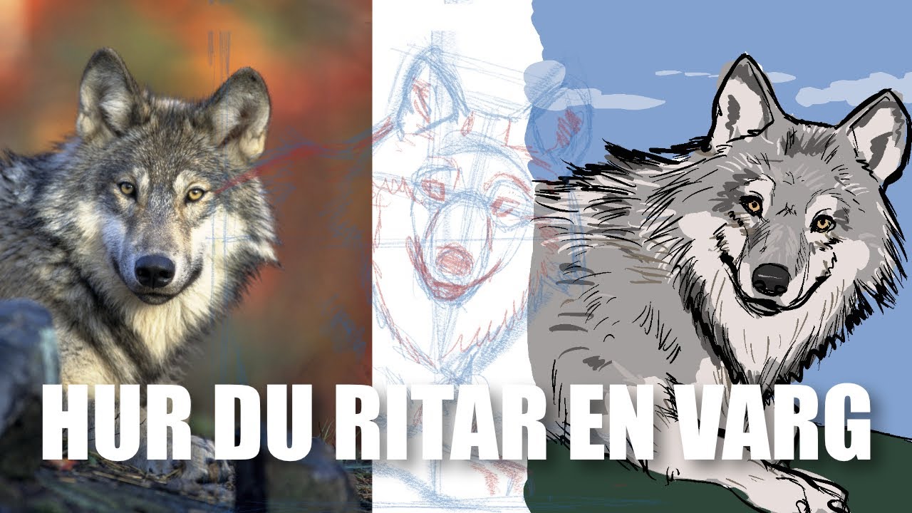 Hur du ritar en varg (och lär dig om positivt och negativt utrymme ...