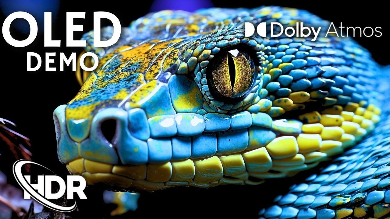 4K 60FPS HDR Showcase on OLED - Pure Visual Magic - YouTube