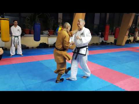 Shaolin Master Shi Heng Yi  Self defence technique