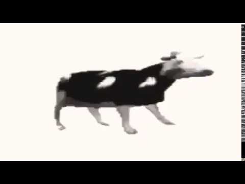 VACA BAILANDO /Vaca bailando meme / Memes de Vacas / Vaca bailando ...