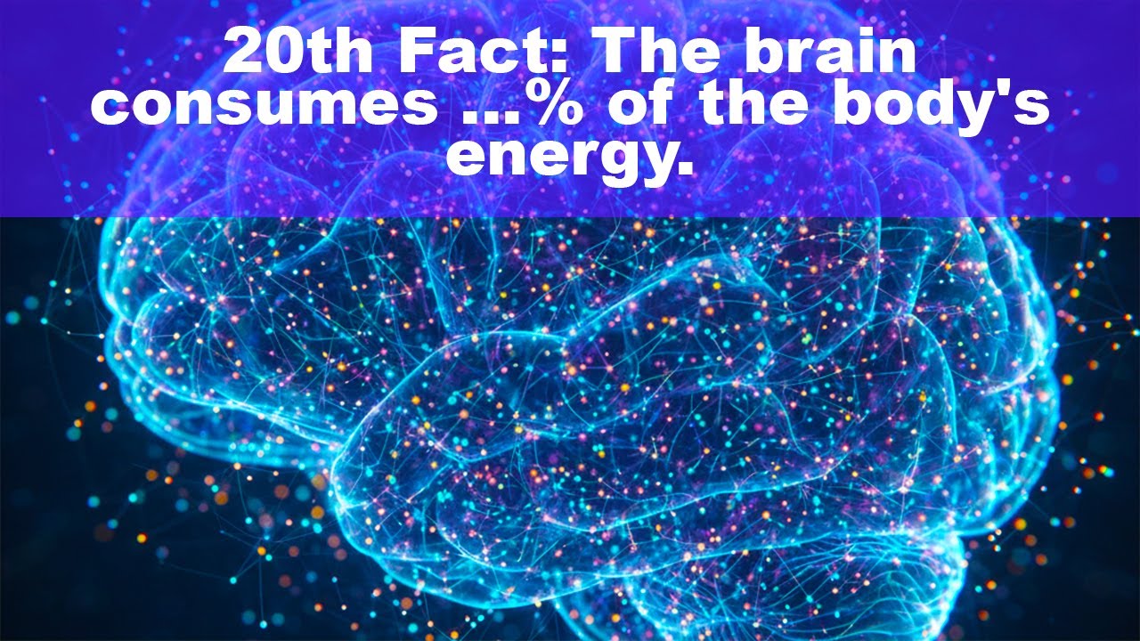 🌎 The ULTIMATE List of 20 Interesting Random Facts Tech, History ...