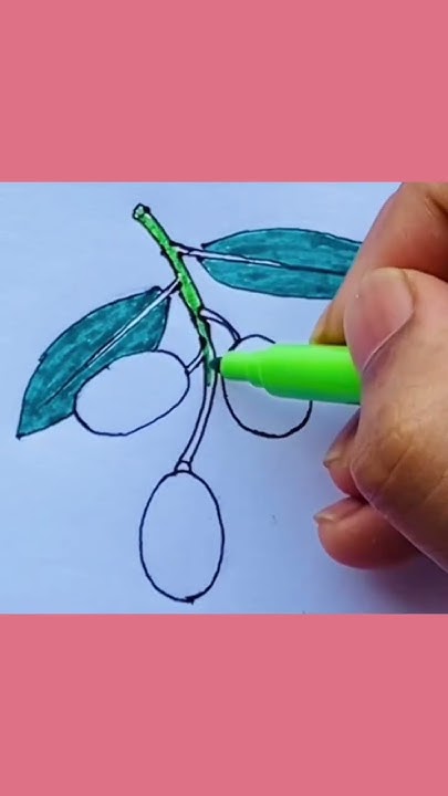 How to draw olive 🫒 - YouTube