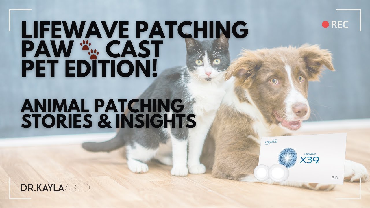 Patching for Pets: How LifeWave Works with Animals | Real Stories & Healing Insights - YouTube