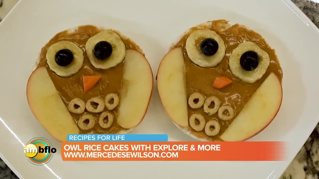 Recipes for life – Owl rice cakes with Explore and More - YouTube