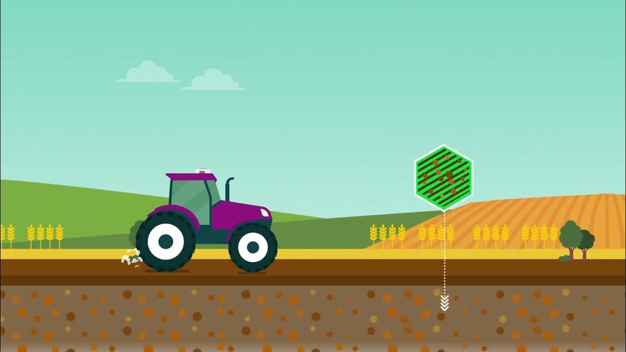 Variable-rate application maps with xarvio FIELD MANAGER - YouTube