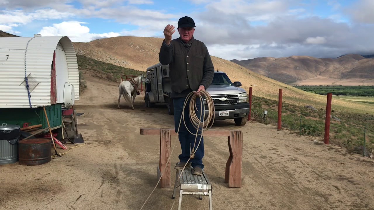 Roping Shots - The Viento and the Contra - YouTube