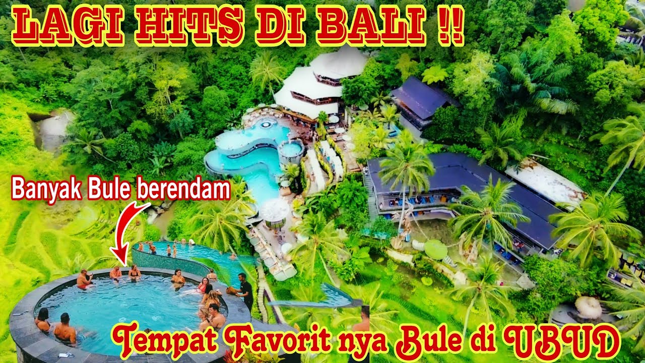 ALAS HARUM BALI‼️TEMPAT WISATA HITS FAVORIT BULE DI BALI | CRETYA UBUD ...