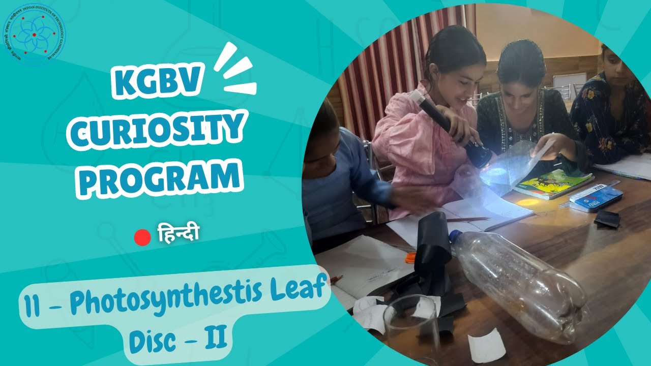 Hindi - Curiosity Program - Session - 11 | Leaf Disc 2 - YouTube