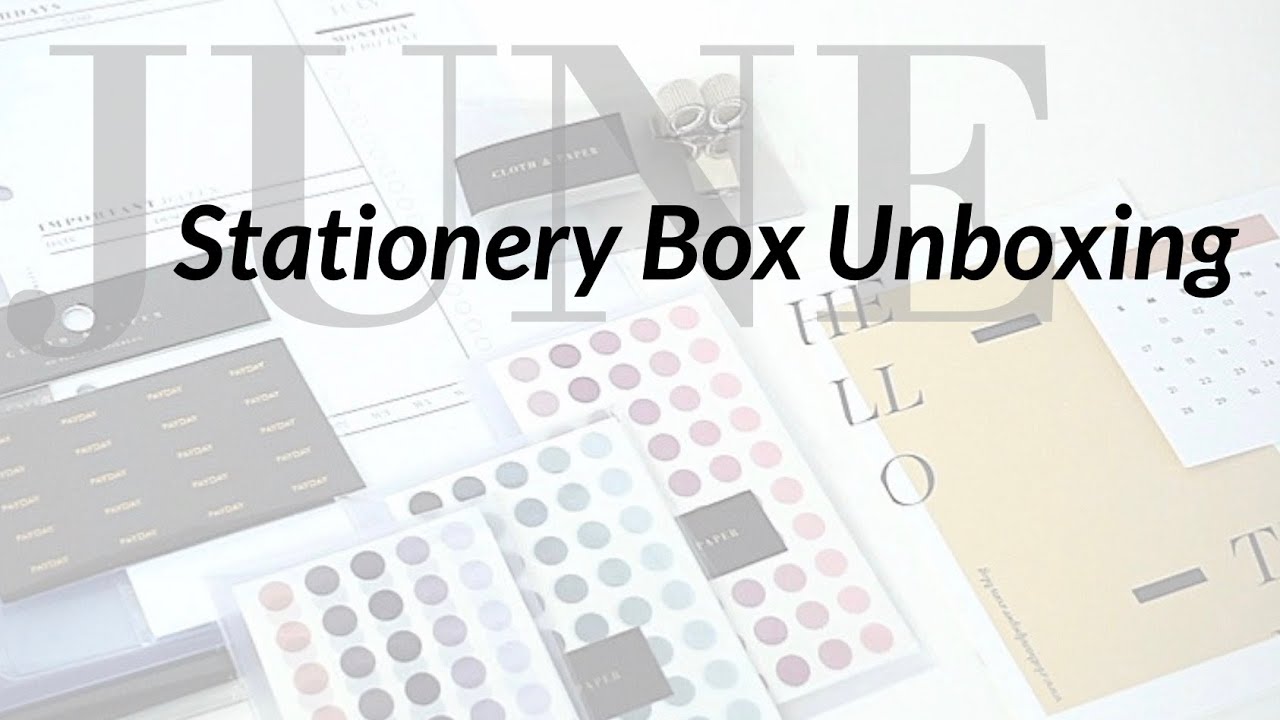 Vegan Leather Planner, Stickers, and more! | June Stationery Box - YouTube