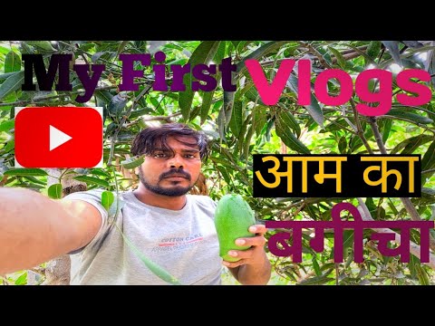 Dehati Aam Ka Maja Khate Me ।। Village Vlogs ।। Dehati Aam Ka Bagicha ।। My First Vlog Bagi ...