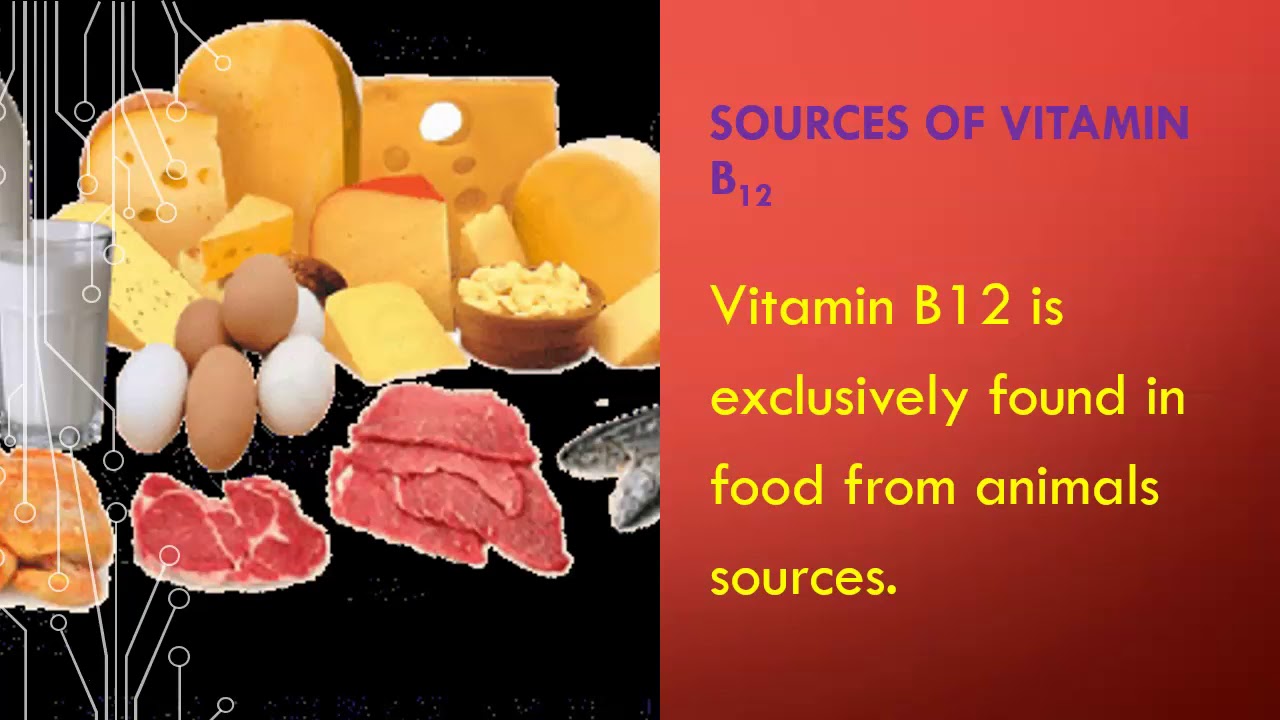 VITAMIN B12 MOVIE - YouTube