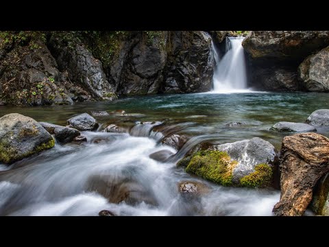 Nature Video 30 Seconds with Nature Sound|WhatsApp Status Video|Nature Background Videos