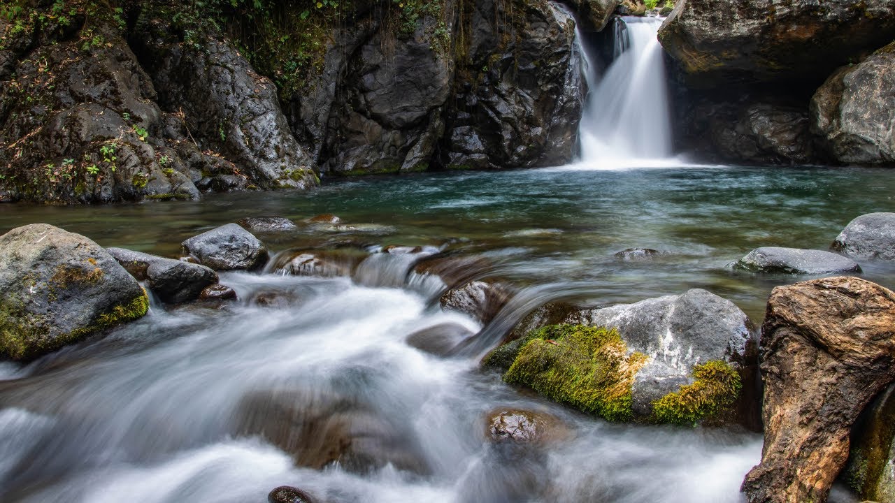 Nature Video 30 Seconds with Nature Sound|WhatsApp Status Video|Nature ...