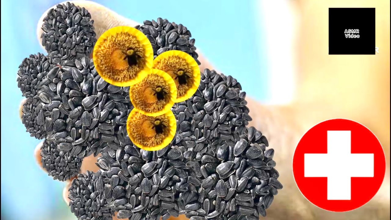 Indulge Into ASMR Foot pampering | Relaxing & care for deep sleep stres ...