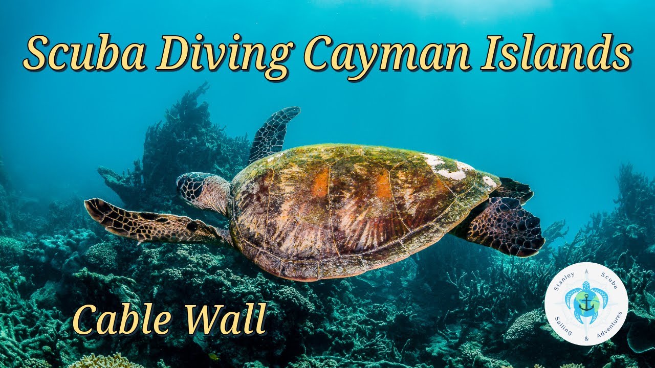 Scuba Diving Grand Cayman's Cable Wall - YouTube