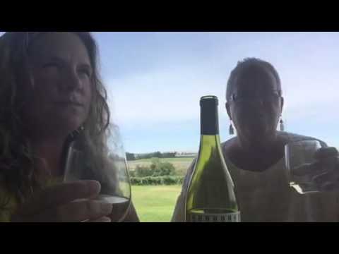 Taste Vacations Washington Wine Country Tour with Sarah Wolcott - YouTube
