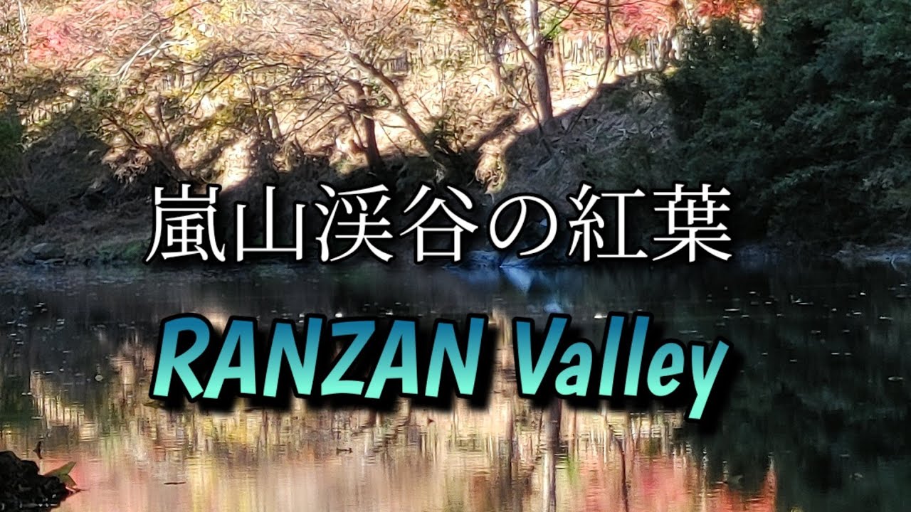 嵐山渓谷の紅葉 autumn leaves@RANZAN valley in Saitama Pref. - YouTube