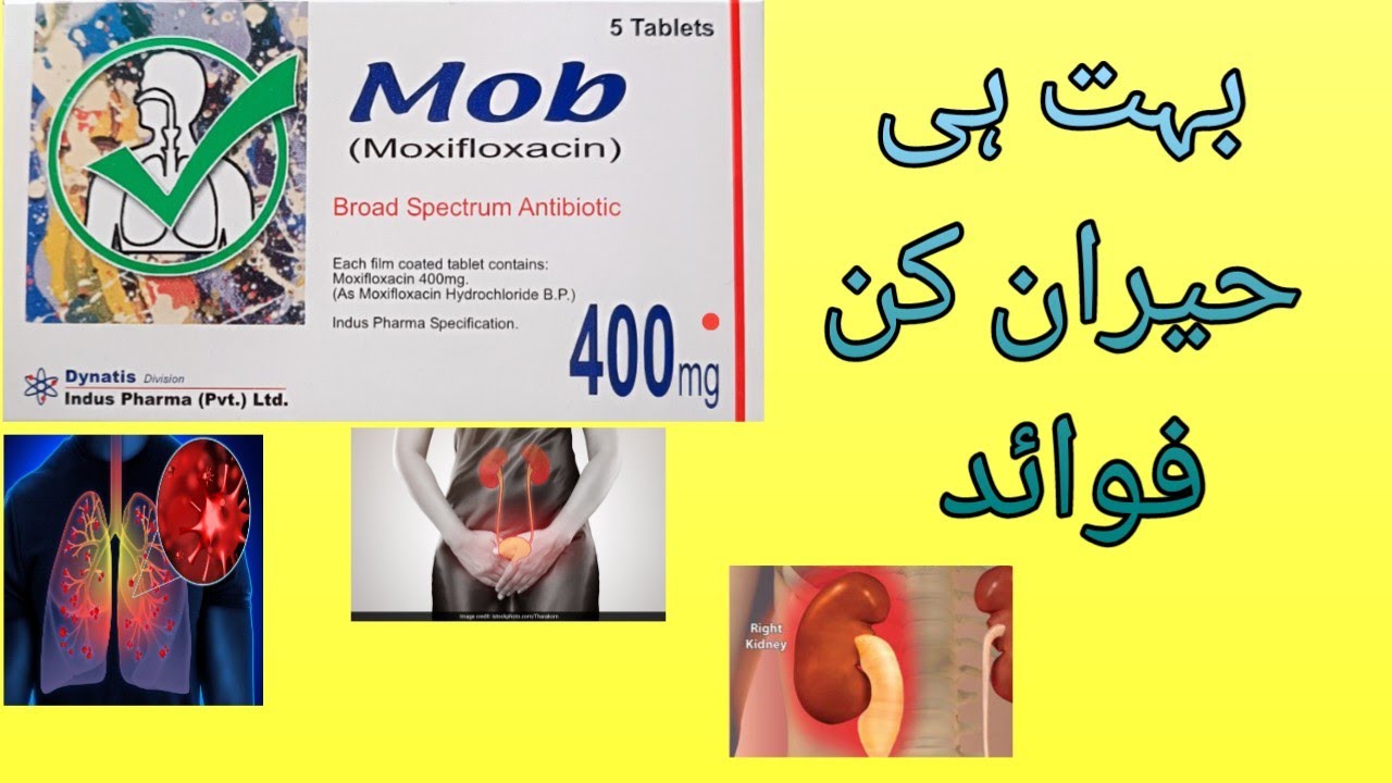 Mob | Moxifloxacin | Tablet 400mg Use and Benefits in urdu ...
