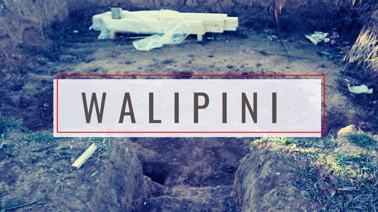 WALIPINI Desde Cero 🏗🌋 || Que Es, Como Se Hace y Para Que Sirve ...