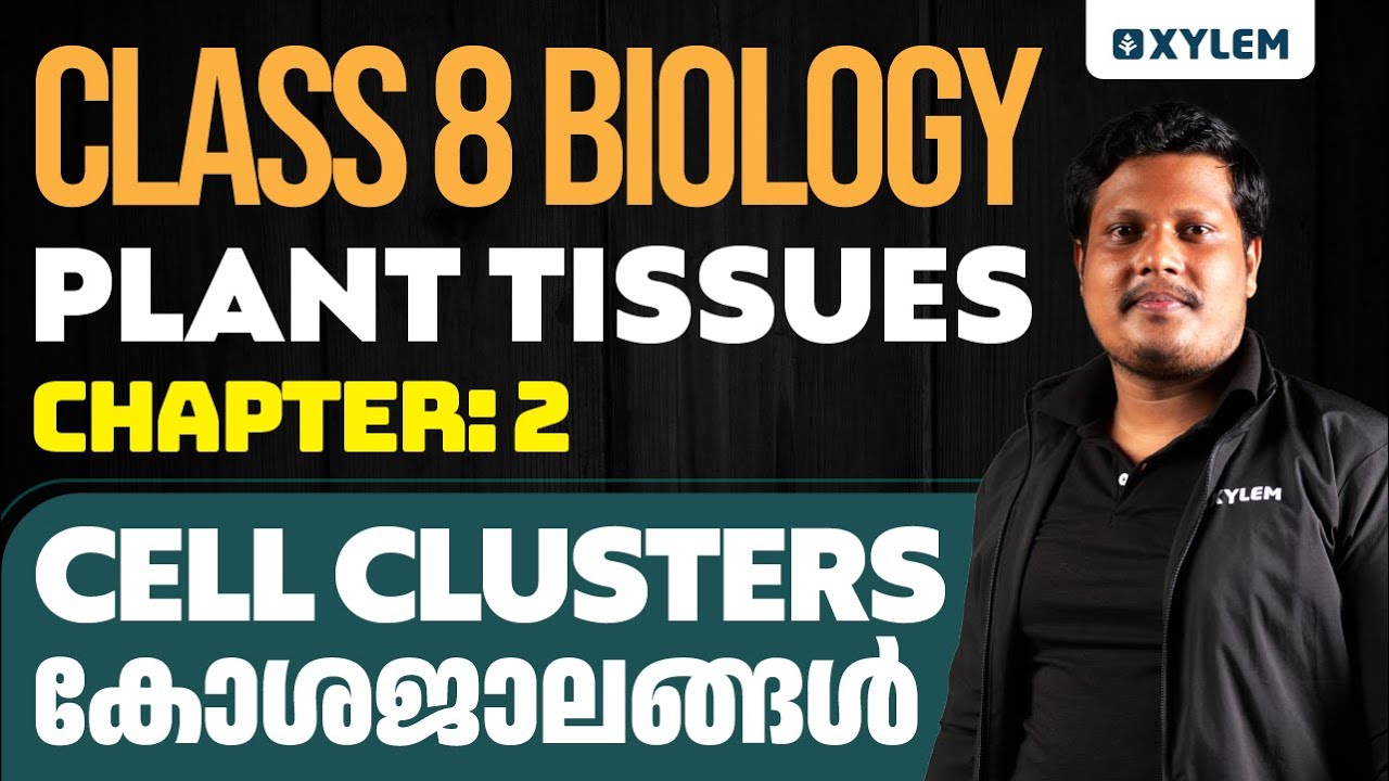 Class 8 Biology | Plant tissues - Chapter: 2 Cell Clusters / കോശജാലങ്ങ ...